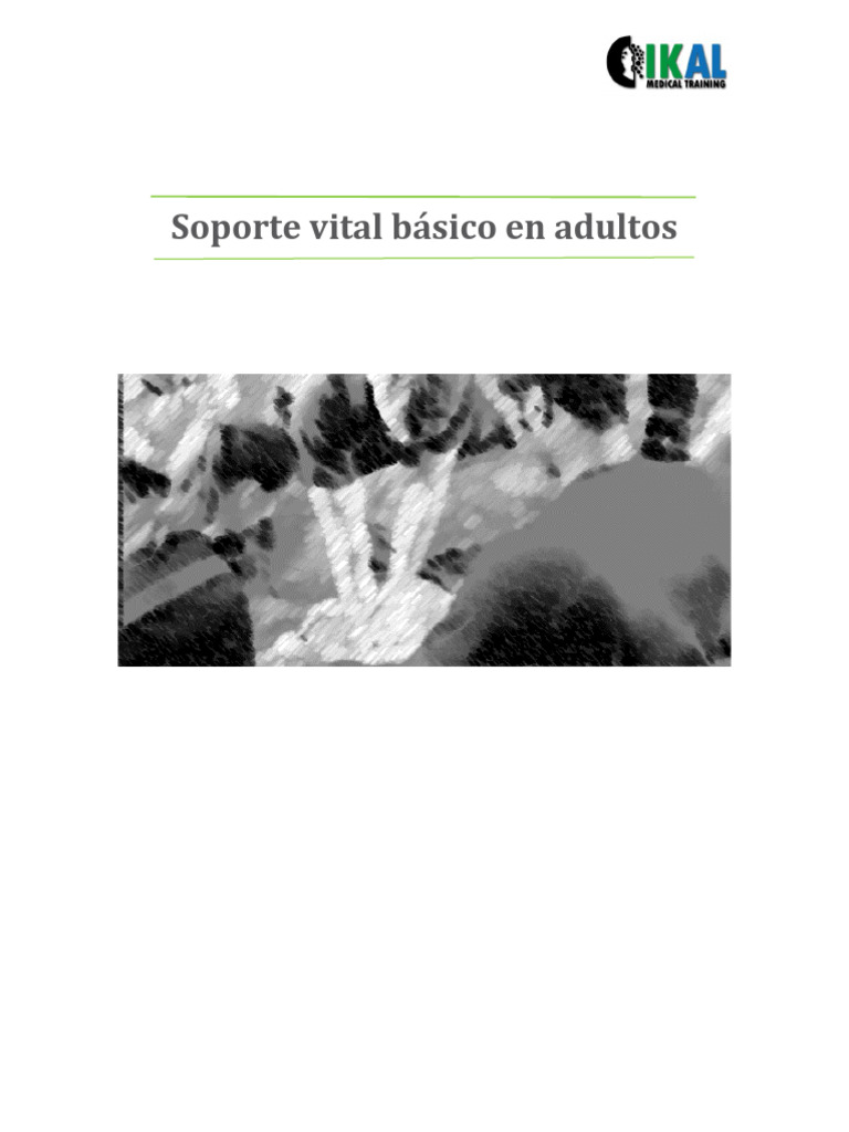 SVB | PDF | Reanimación cardiopulmonar | Paro cardíaco