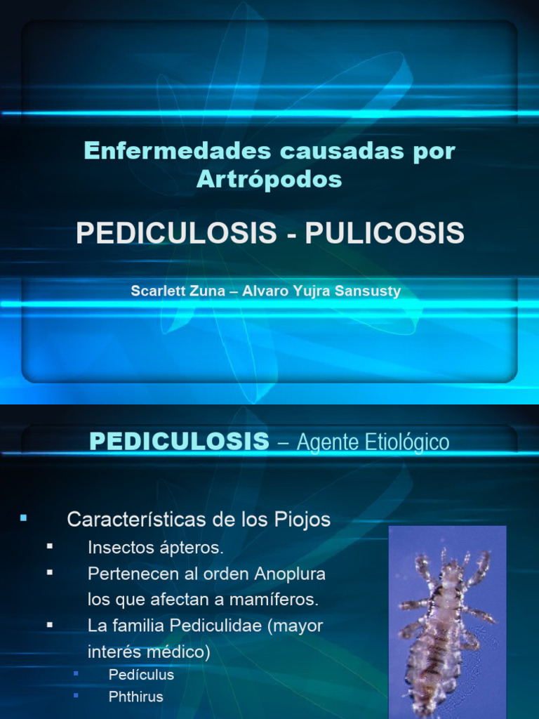 Pediculosis - Pulicosis | PDF | Ciencia y matemáticas