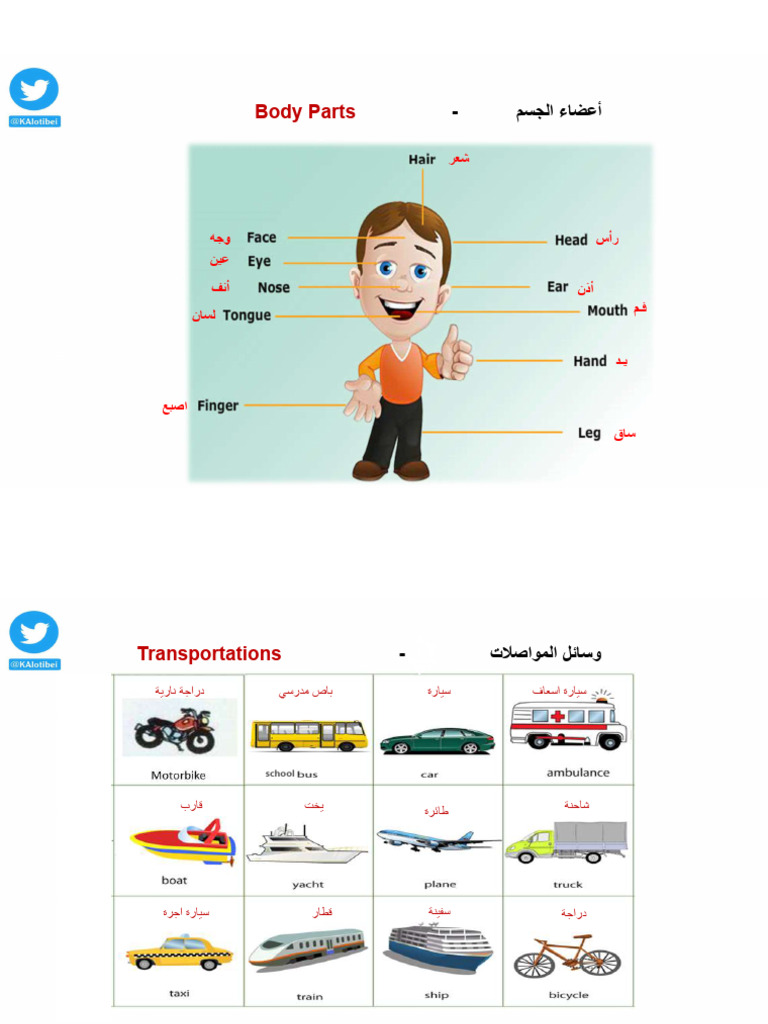 English Vocabulary-Beginners | PDF