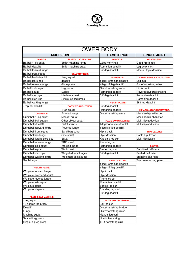 Lower Body Exercises | PDF | Anatomical Terms Of Motion | Lower Limb ...