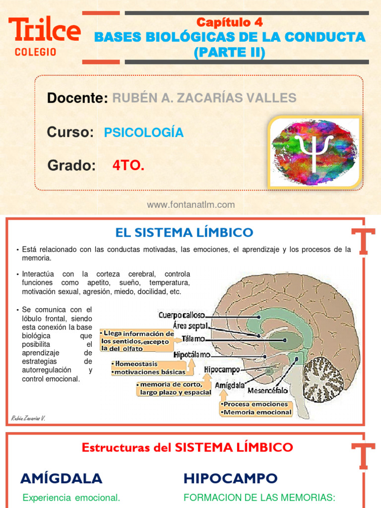 clase 4 de psico | PDF