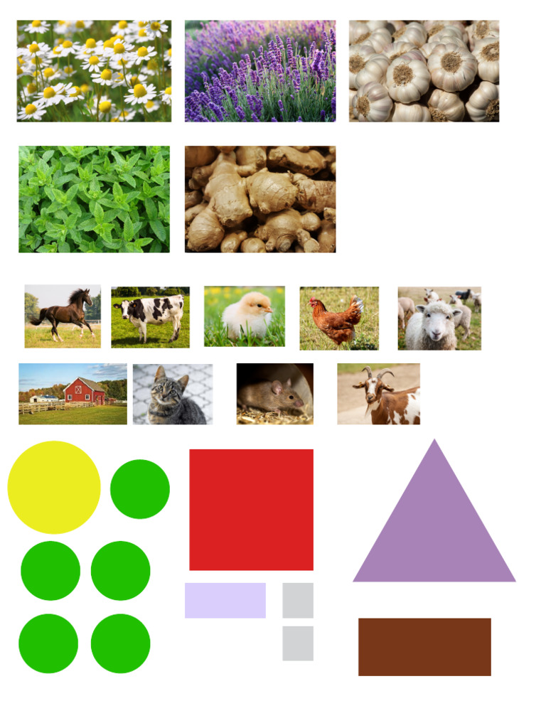 Tarea | PDF