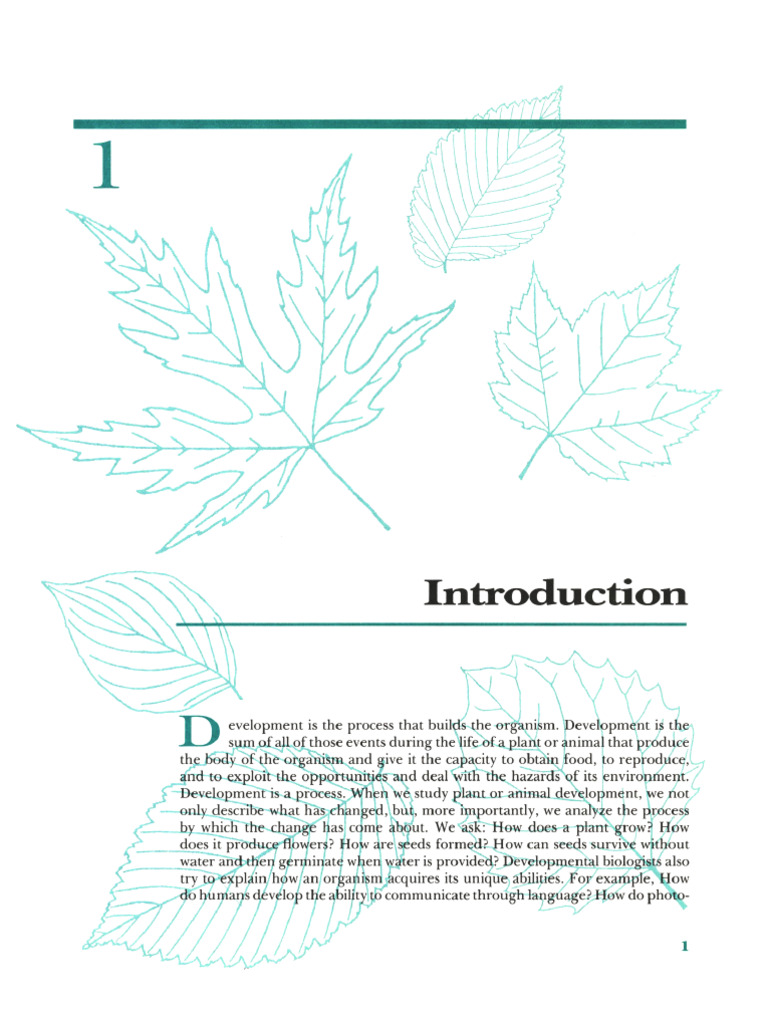 First Page PDF | PDF