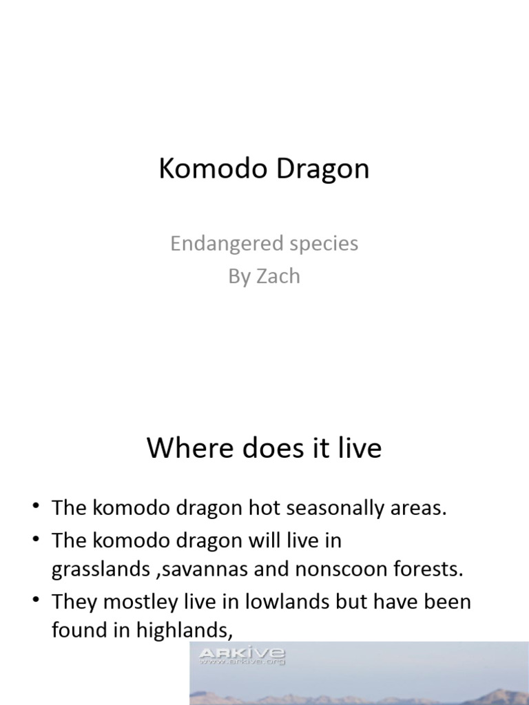 Komodo Dragon: Endangered Species Facts | PDF