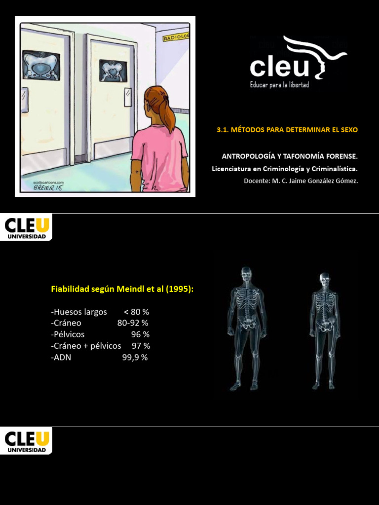 3.1. Sexo - ANTROP F | PDF | Ciencia forense | Science