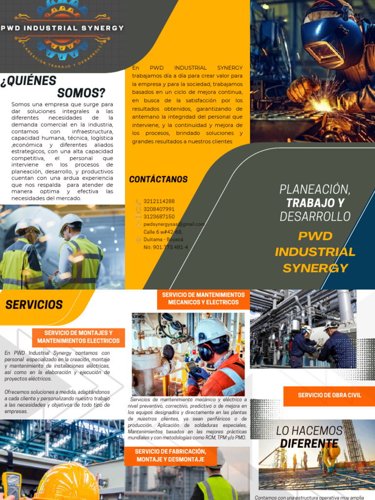 Brochure PWD 1.0 | PDF | Business | Planificación