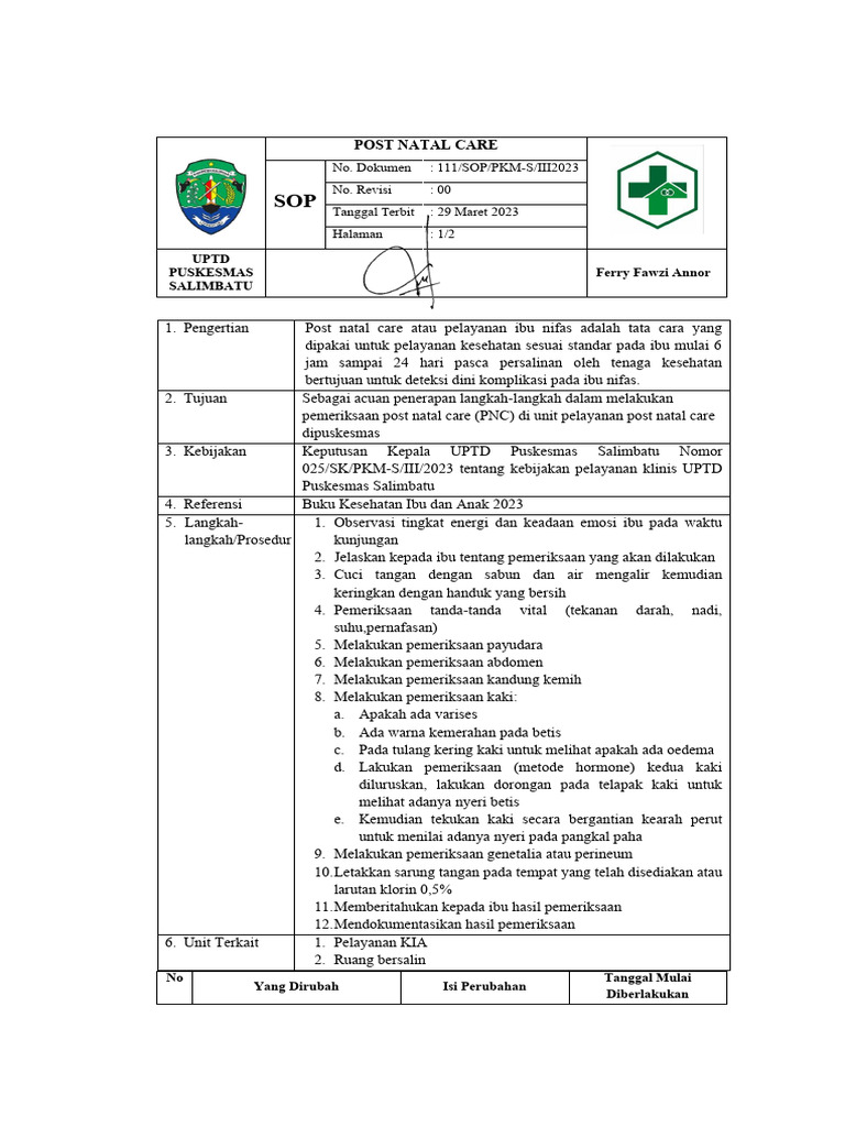 Panduan Pelayanan Post Natal Care | PDF