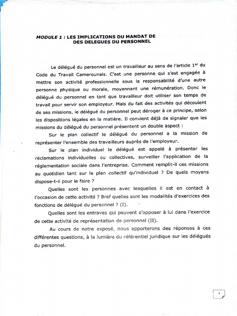 Mandat DP 1 | PDF