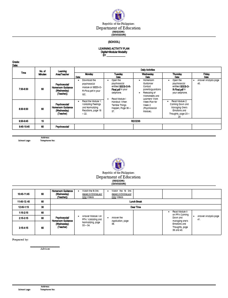 Learning Activity Plan | PDF