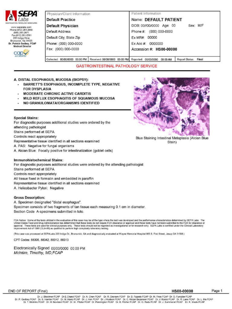 Gastrointestinal Pathology Sample Report | PDF