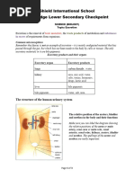 Science Checkpoint Past Papers Grade 8 | PDF
