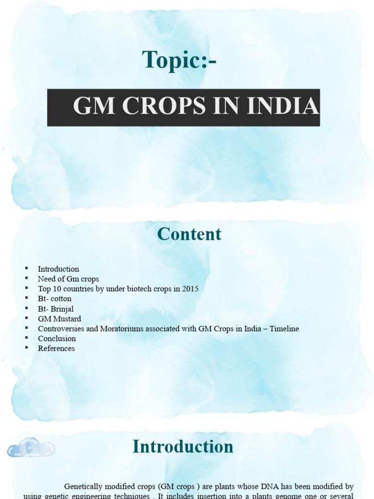 GM Crops in India | PDF | Agriculture | Crops