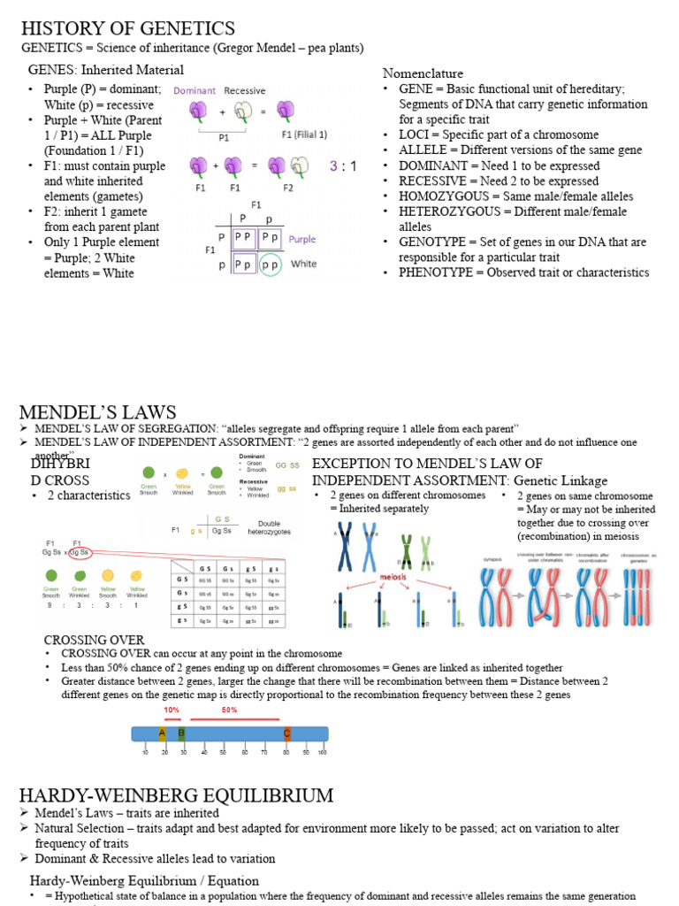 Genetics & Inheritance | PDF | Dominance (Genetics) | Genetics