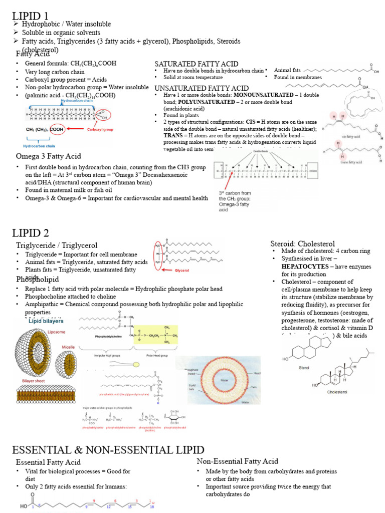 Lipids, Membranes, Transport | PDF | Ion Channel | Triglyceride