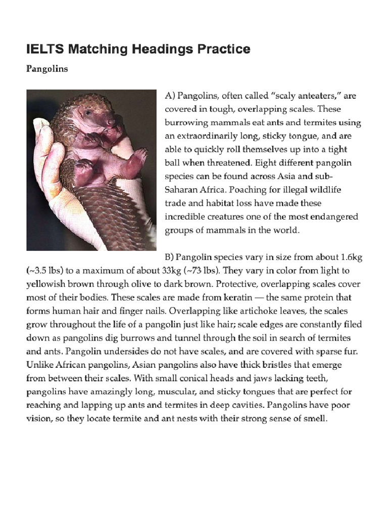 Reading Test #4 - Pangolins Ielts | PDF