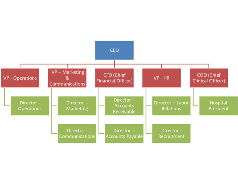 Organisation Structure | PDF