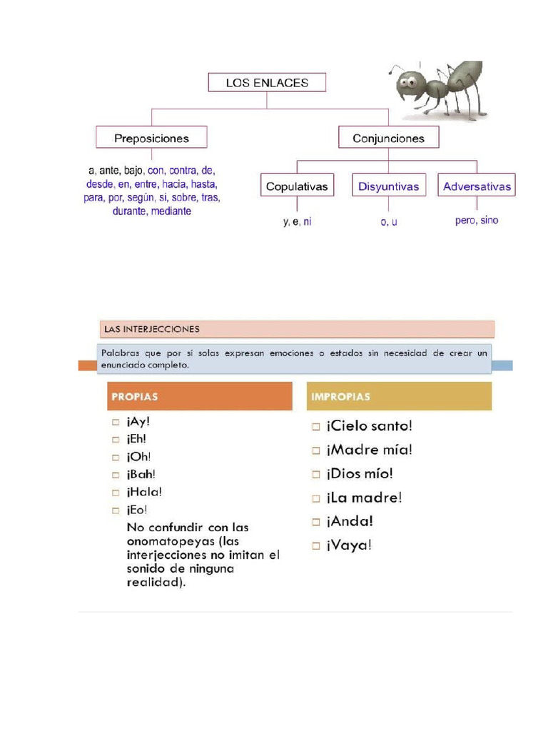 Preposiciones y Conjunciones | PDF