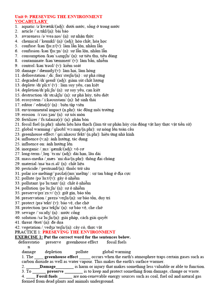 Vocab Reading Environment | PDF
