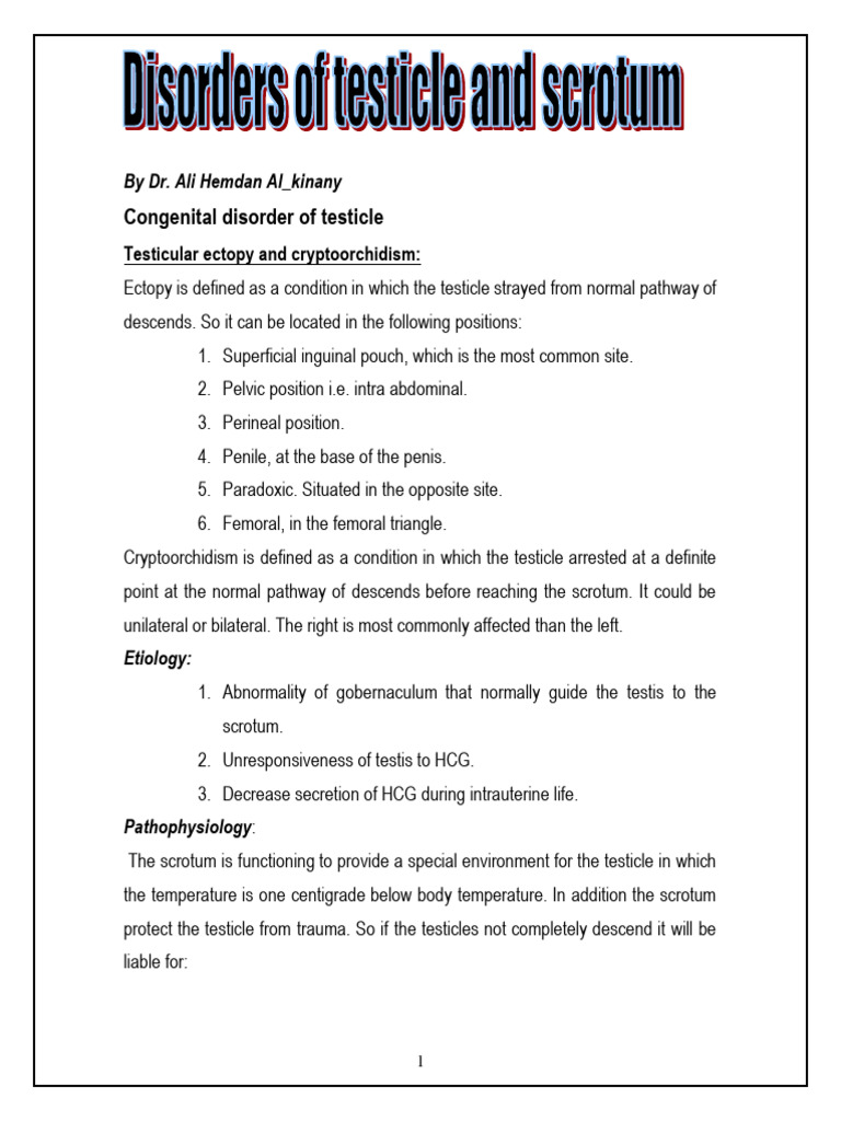 Disorders of Testicles & Scrotum | PDF | Testicle | Clinical Medicine