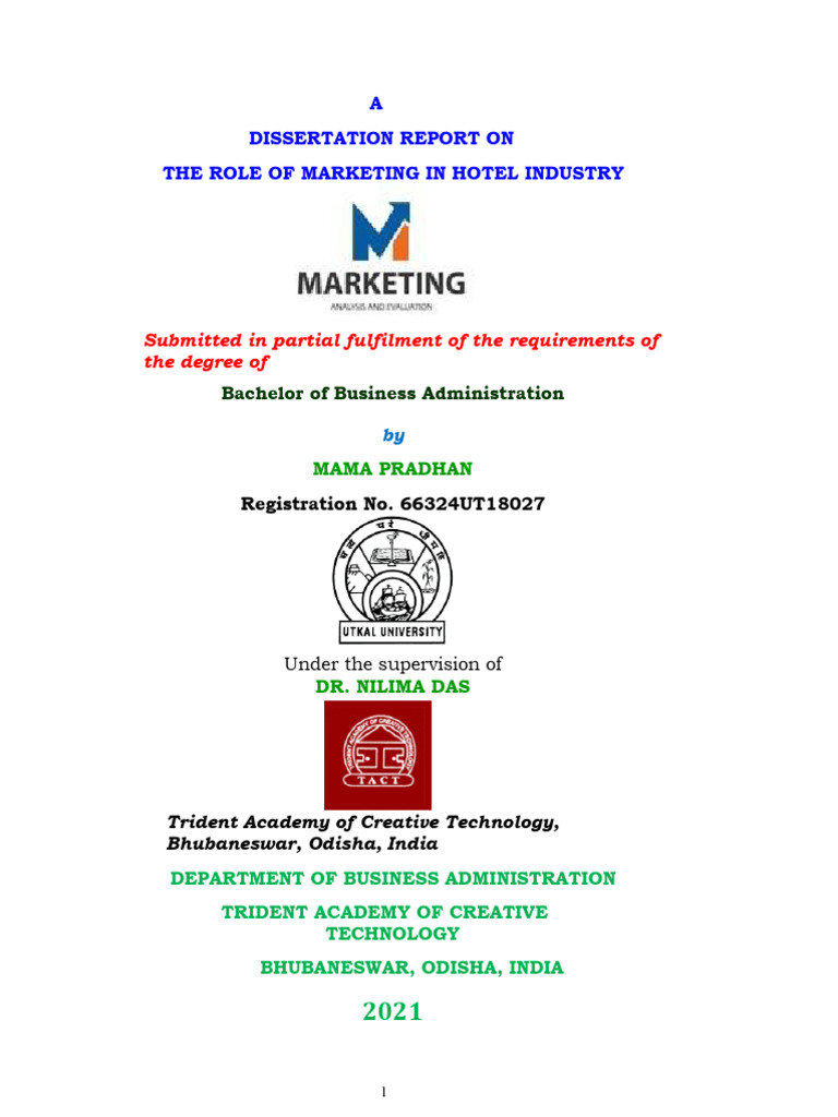 Bba Project Marketing | PDF | Marketing | Market Segmentation