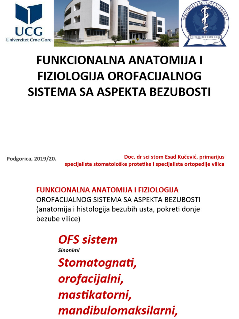 2 Funkcionalna Anatomija I Fiziologija Ofs Sa Aspekta Bezubosti | PDF