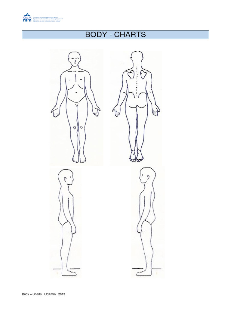 Body Chart OdAmm | PDF