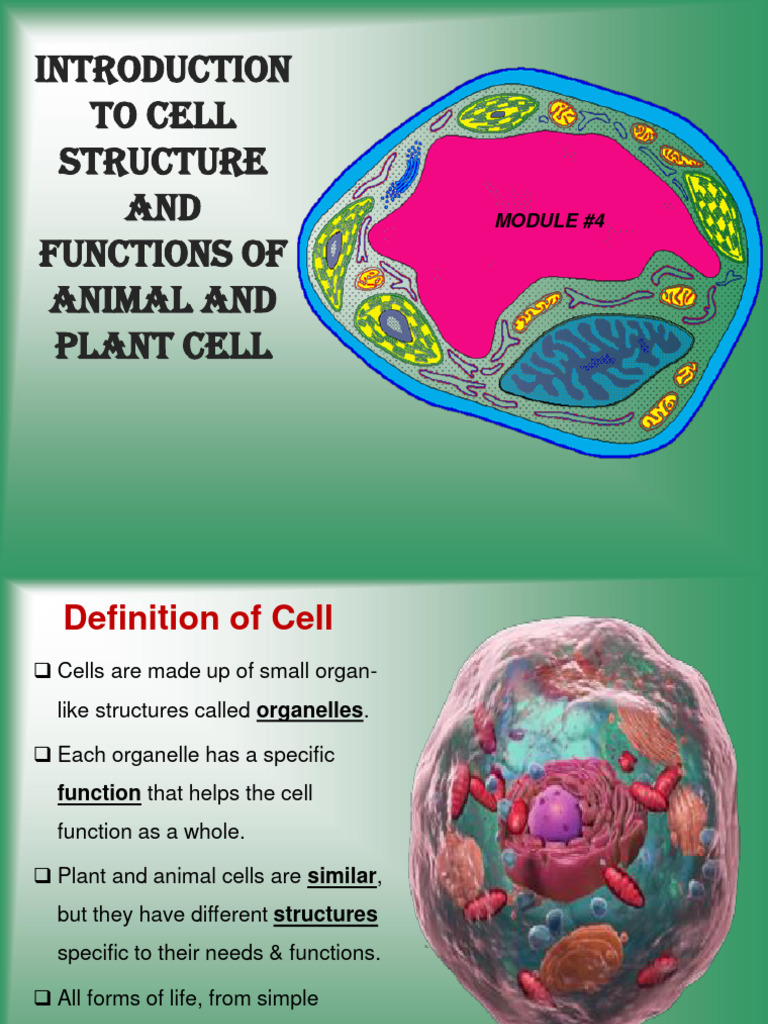 MODULE - 4 - Introduction To Cell Structure and Functions of Animal and ...