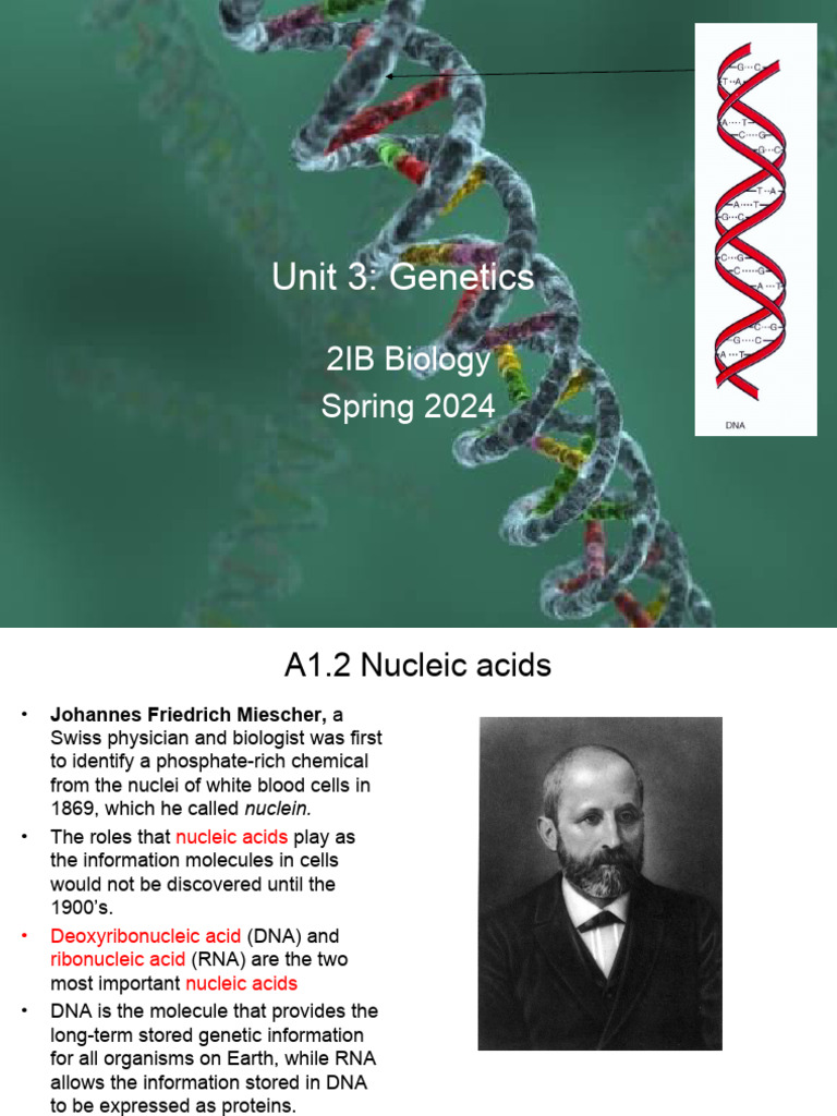 Biology Genetics Presentation | PDF | Meiosis | Dominance (Genetics)