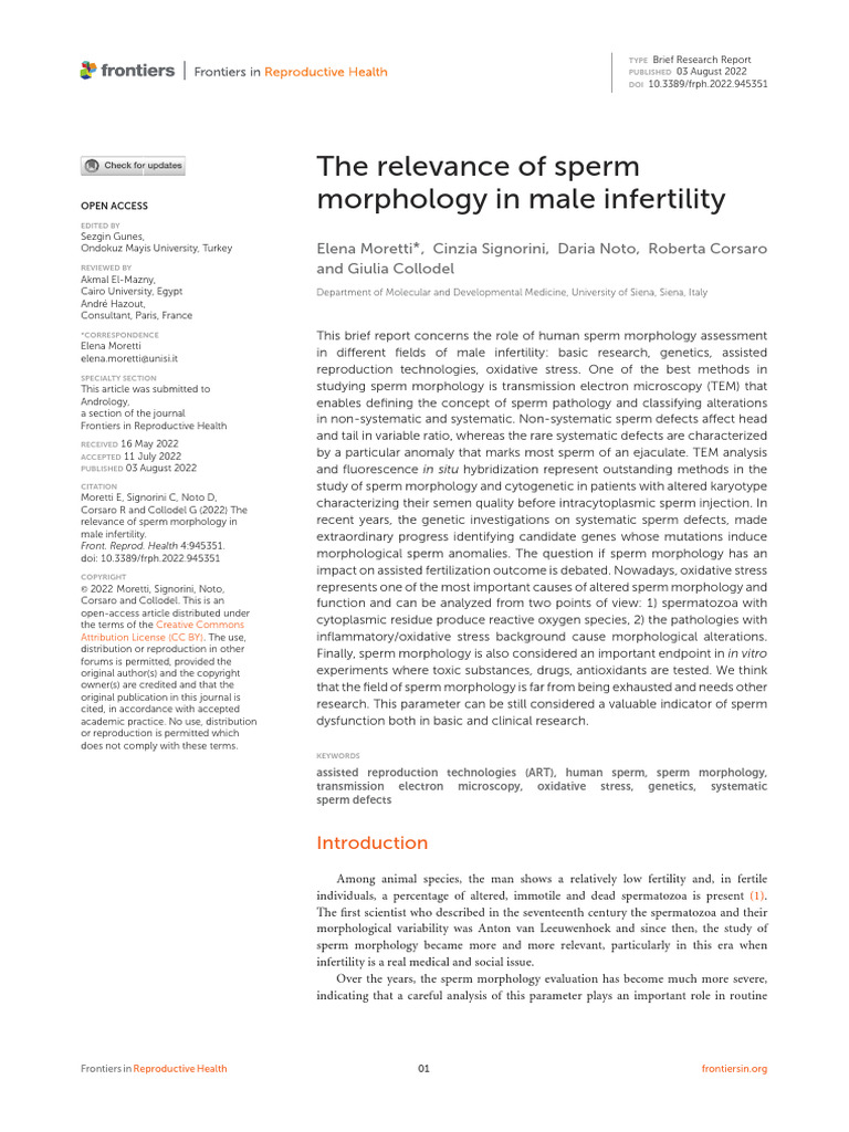 The Relevance of Sperm Morphology in Male Infertil | PDF | Sperm | Biology