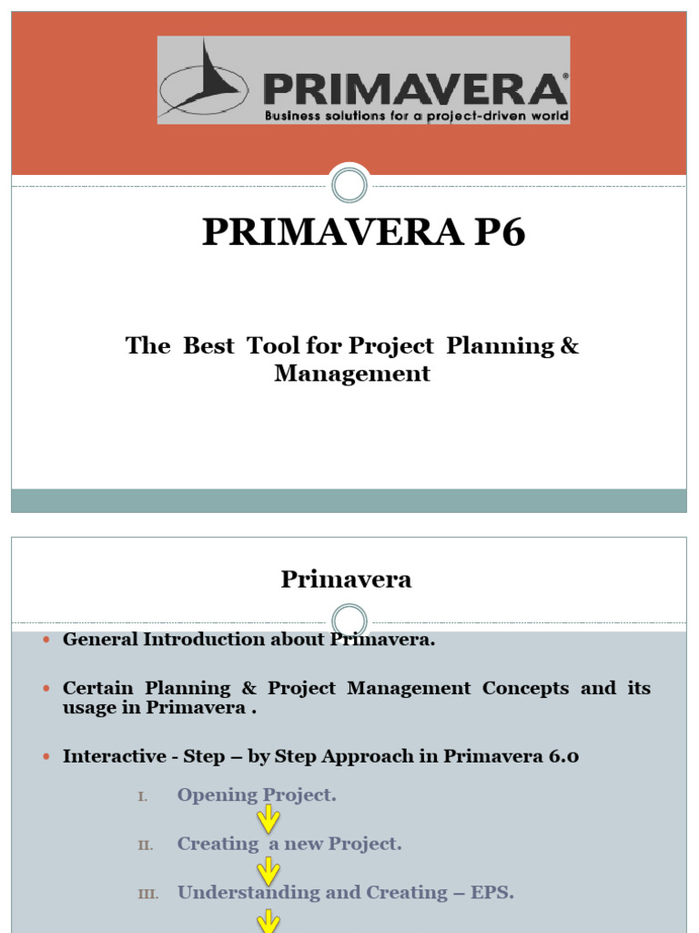 Primavera P6 Tutorials | PDF | Business