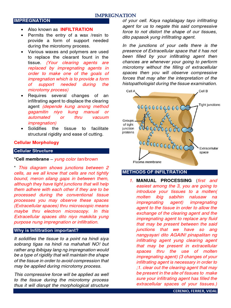 HISTOPATH | PDF | Epoxy | Knife