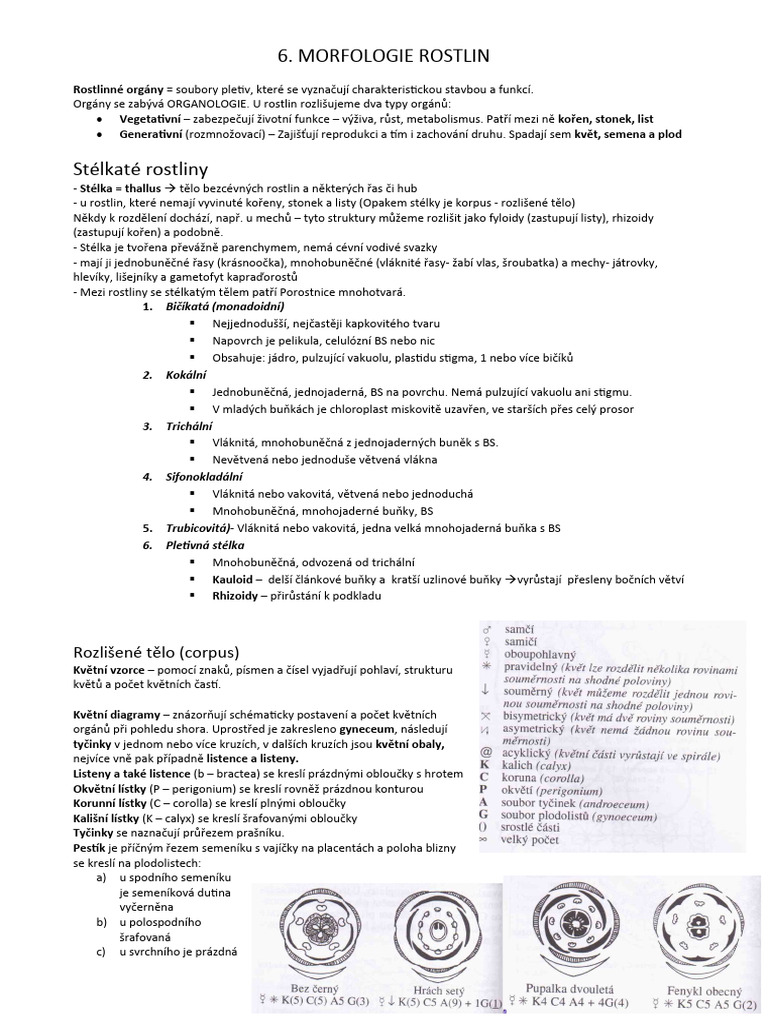 Morfologie Rostlin (Lepsi) | PDF