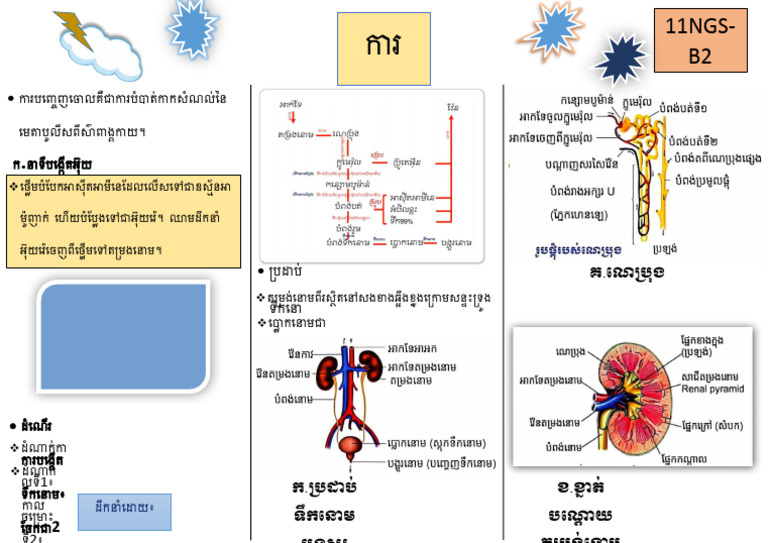 Project Biology.. | PDF