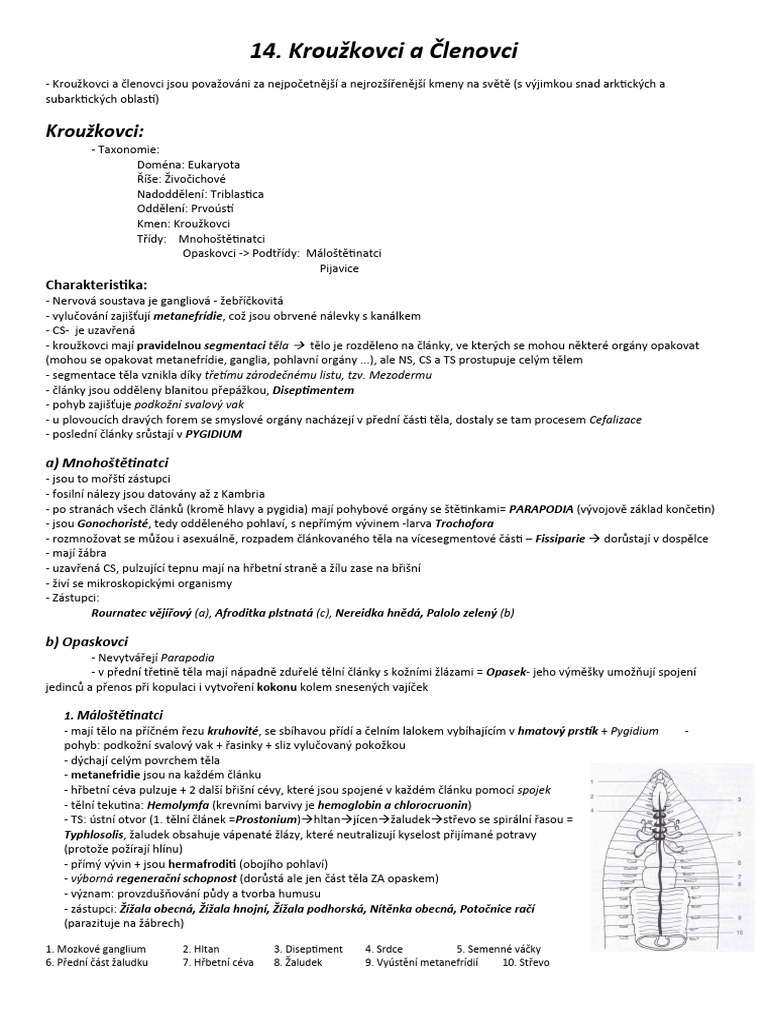 Krouzkovci A Clenovci | PDF