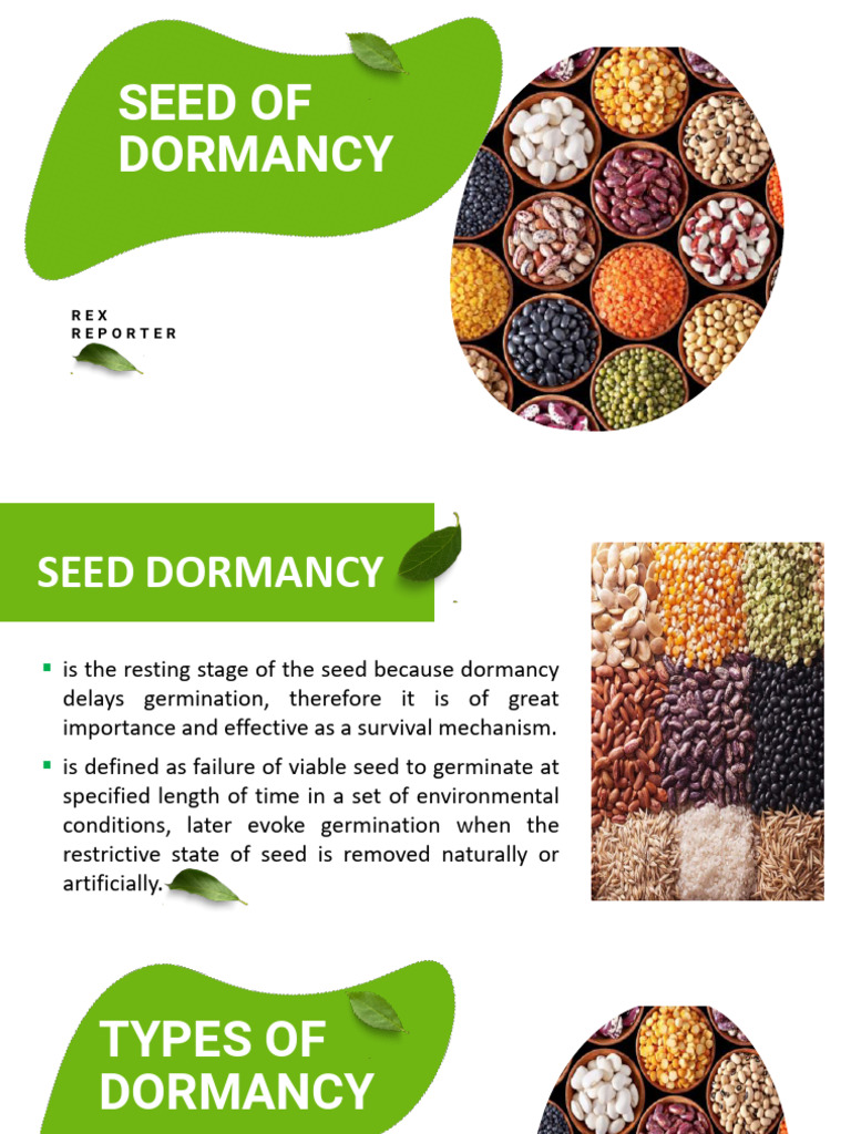 5th Seed Dormancy | PDF | Seed | Plants