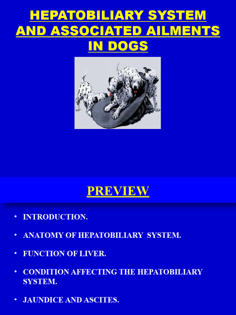 Hepatobiliary Disorders in Dogs | PDF | Liver | Gallbladder