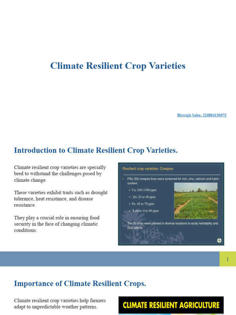 Climate Resilient Crop Varieties | PDF | Climate Resilience | Food Security