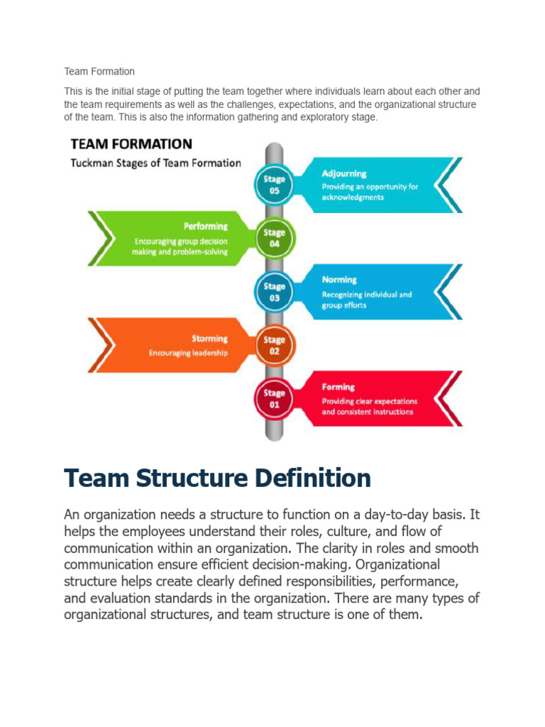 Team Structure Definition | Download Free PDF | Organizational ...