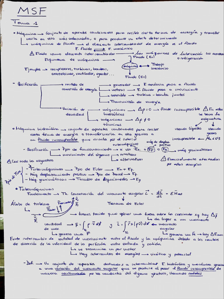 Apuntes MSF | PDF