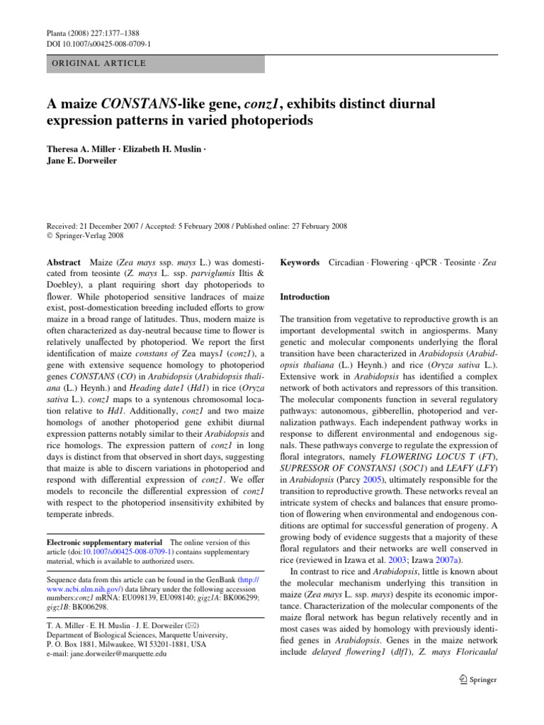 A Maize CONSTANS-like Gene, Conz1, Exhibits Distinct Diurnal Expression ...