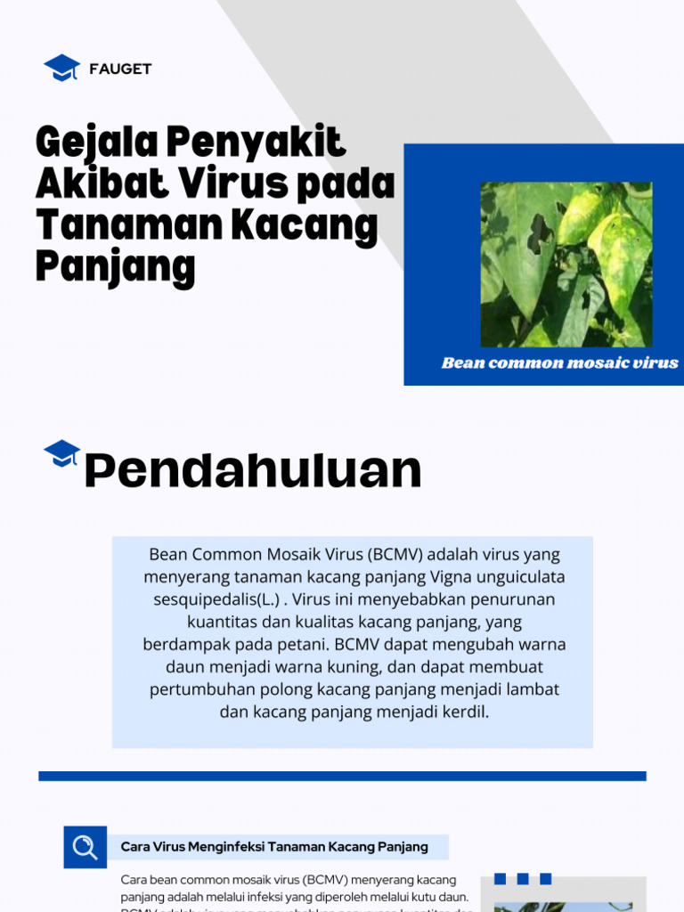 DOC-20240404-WA0041._20240404_191004_0000 | PDF