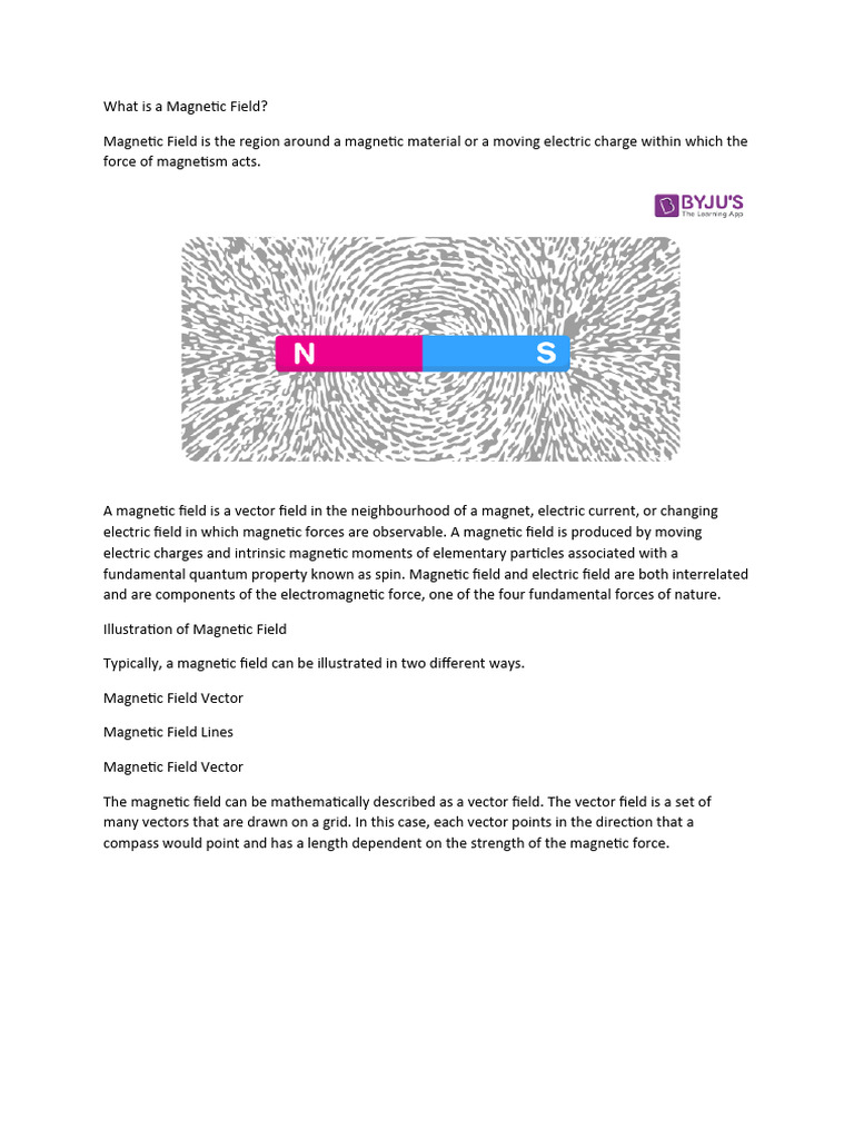 Year 8 Magnetism | PDF | Magnetic Field | Force