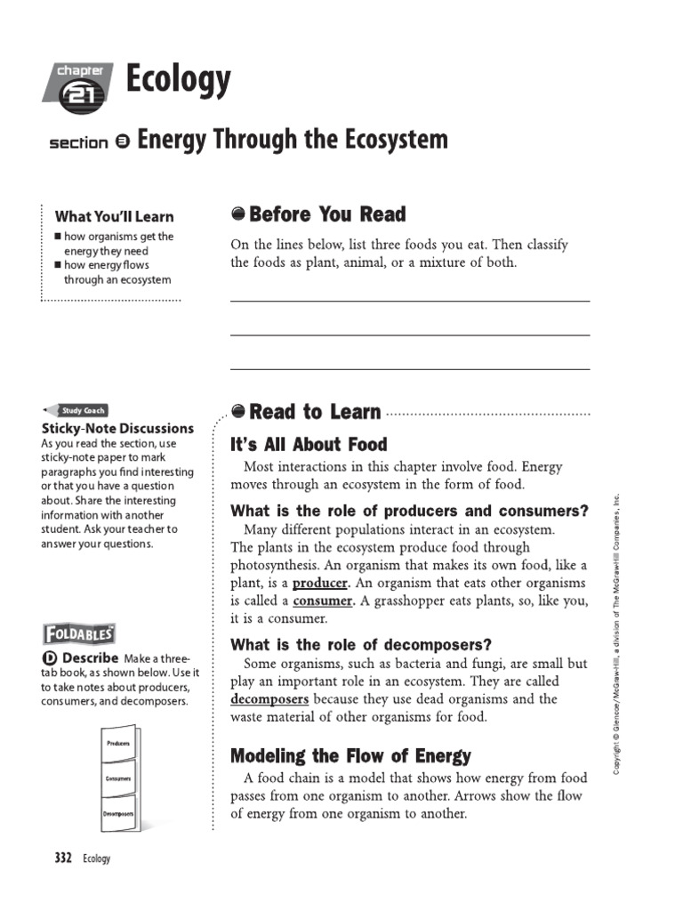 Energy+Flow+in+Ecosystem | PDF