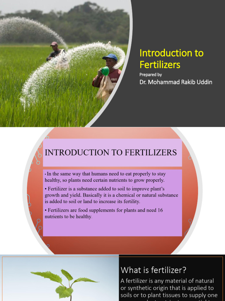 Essential Guide to Fertilizers | PDF | Fertilizer | Plant Nutrition