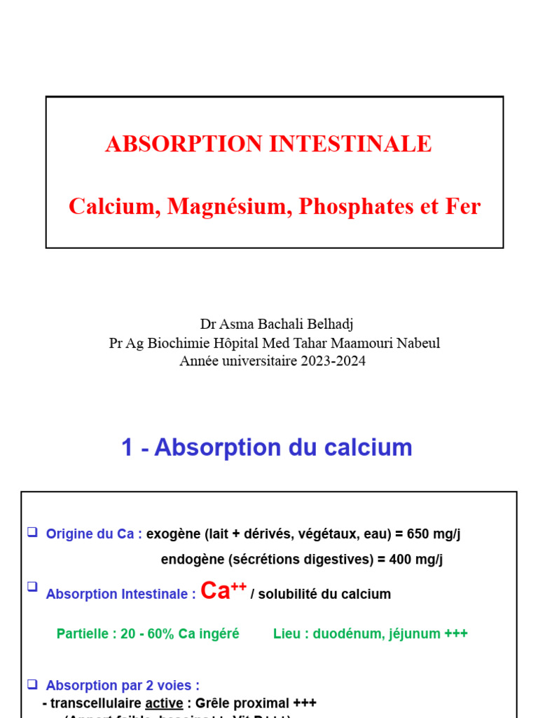 Absorption Intestinale du Calcium et Phosphore | PDF | Estomac | Calcium