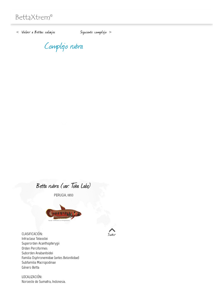 BettaXtrem _ Complejo rubra | PDF | Pescado