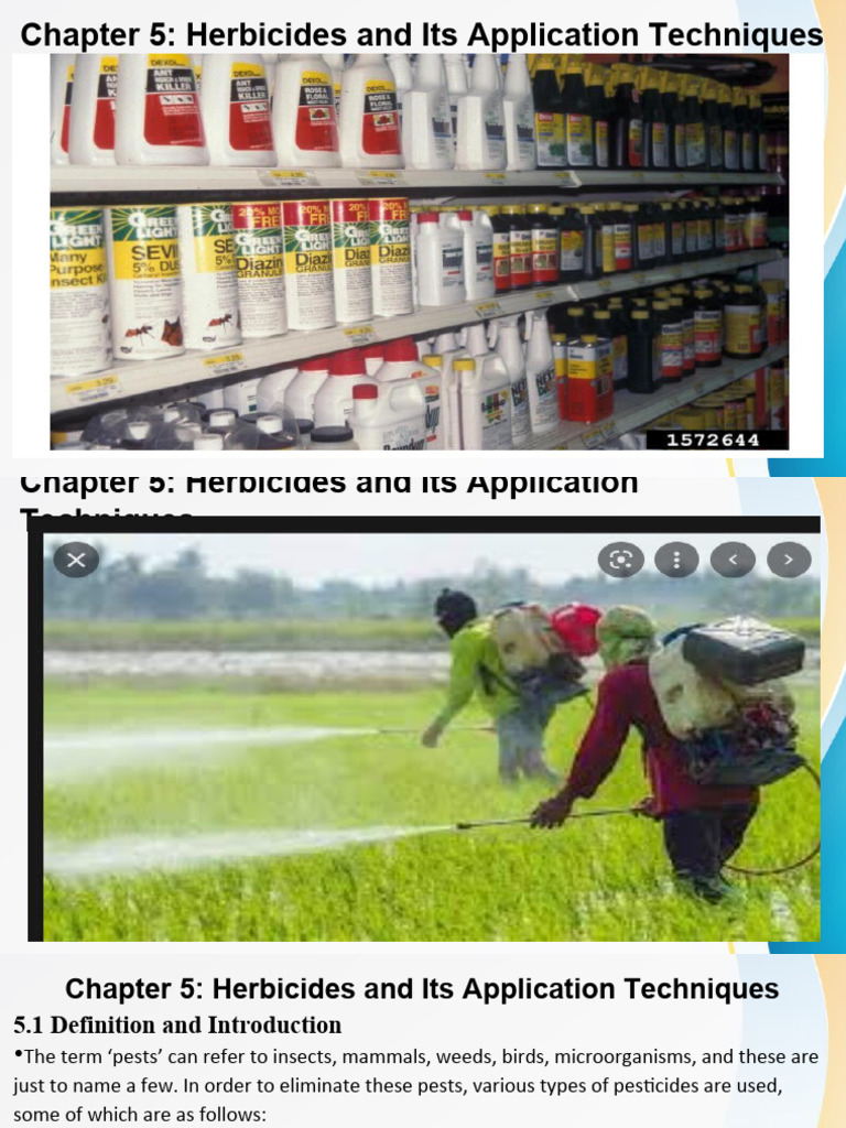Weed Chapter 5 PPT - Dps | PDF | Herbicide | Pharmaceutical Formulation