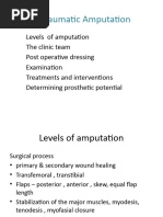 Understanding PPAM Aid for Amputees | PDF | Amputation | Prosthesis