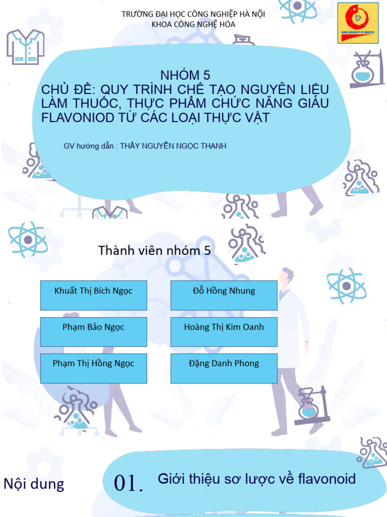 Quy Trình T NG H P Flavonoid | PDF