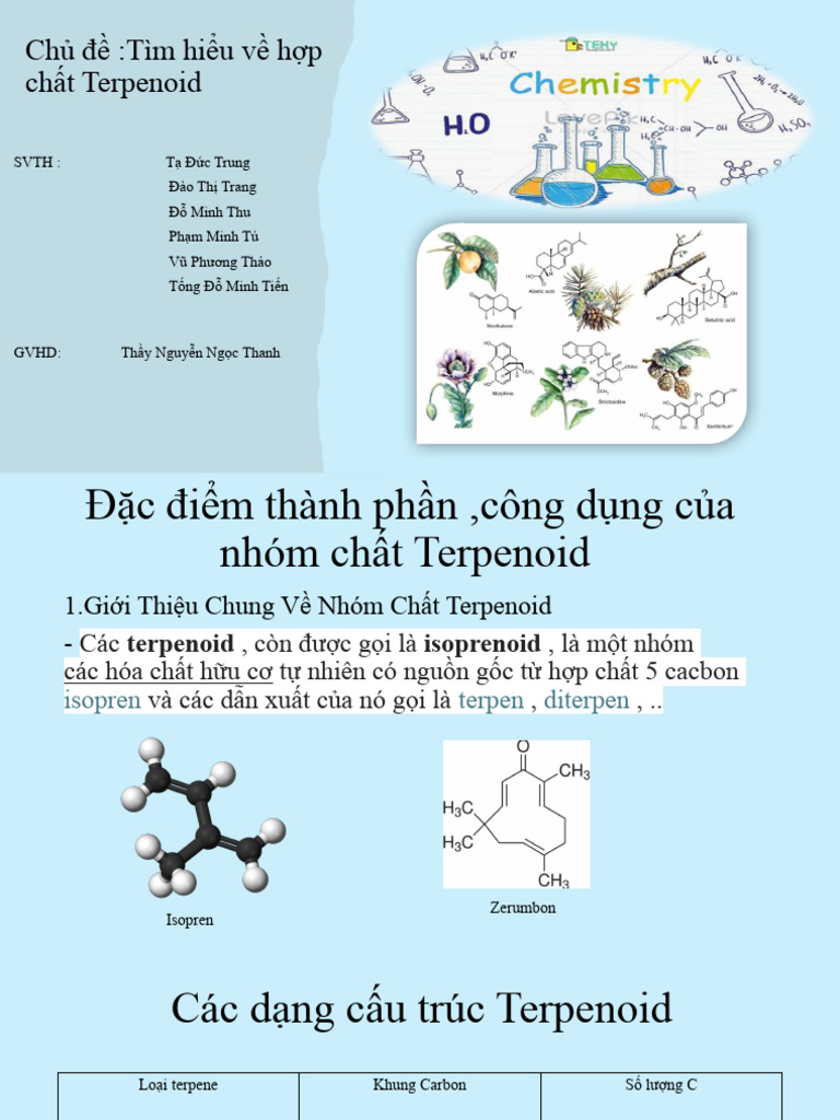 HCTN - Terpenoid | PDF
